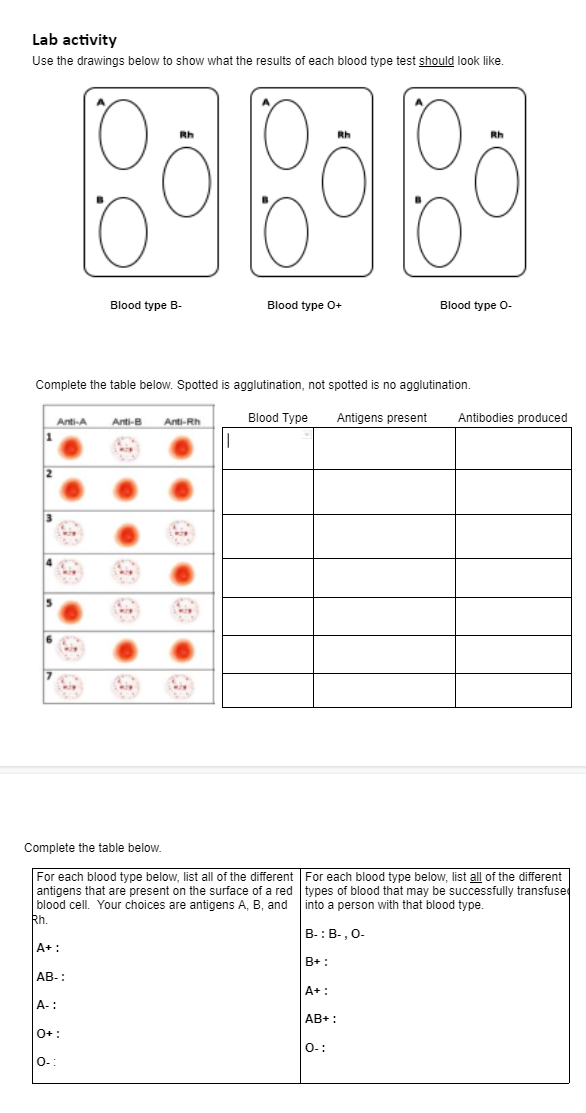 Solved Lab activity Use the drawings below to show what the | Chegg.com