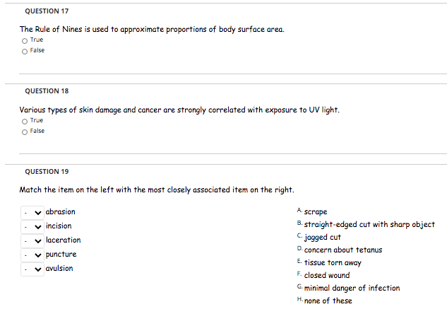 Solved QUESTION 17 The Rule of Nines is used to approximate | Chegg.com