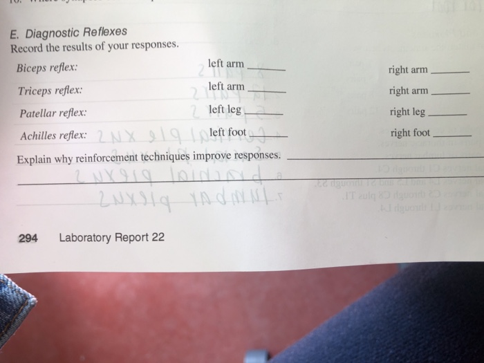 Solved E. Diagnostic Reflexes Record the results of your | Chegg.com