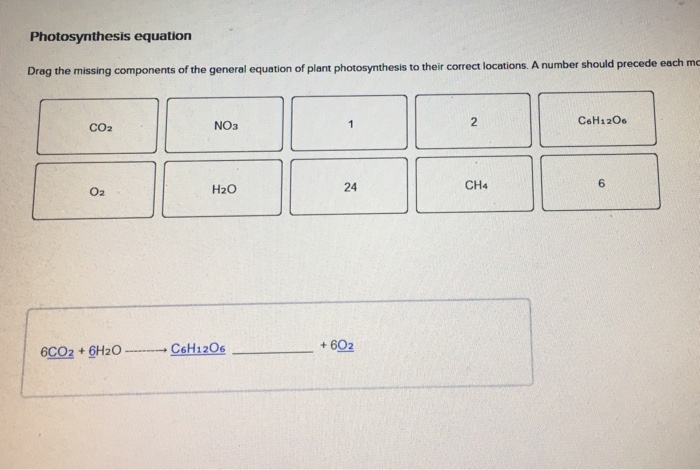 Solved Photosynthesis equation Drag the missing components | Chegg.com