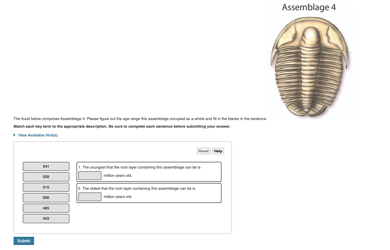 Solved The two fossils below comprise Assemblage 3 . | Chegg.com