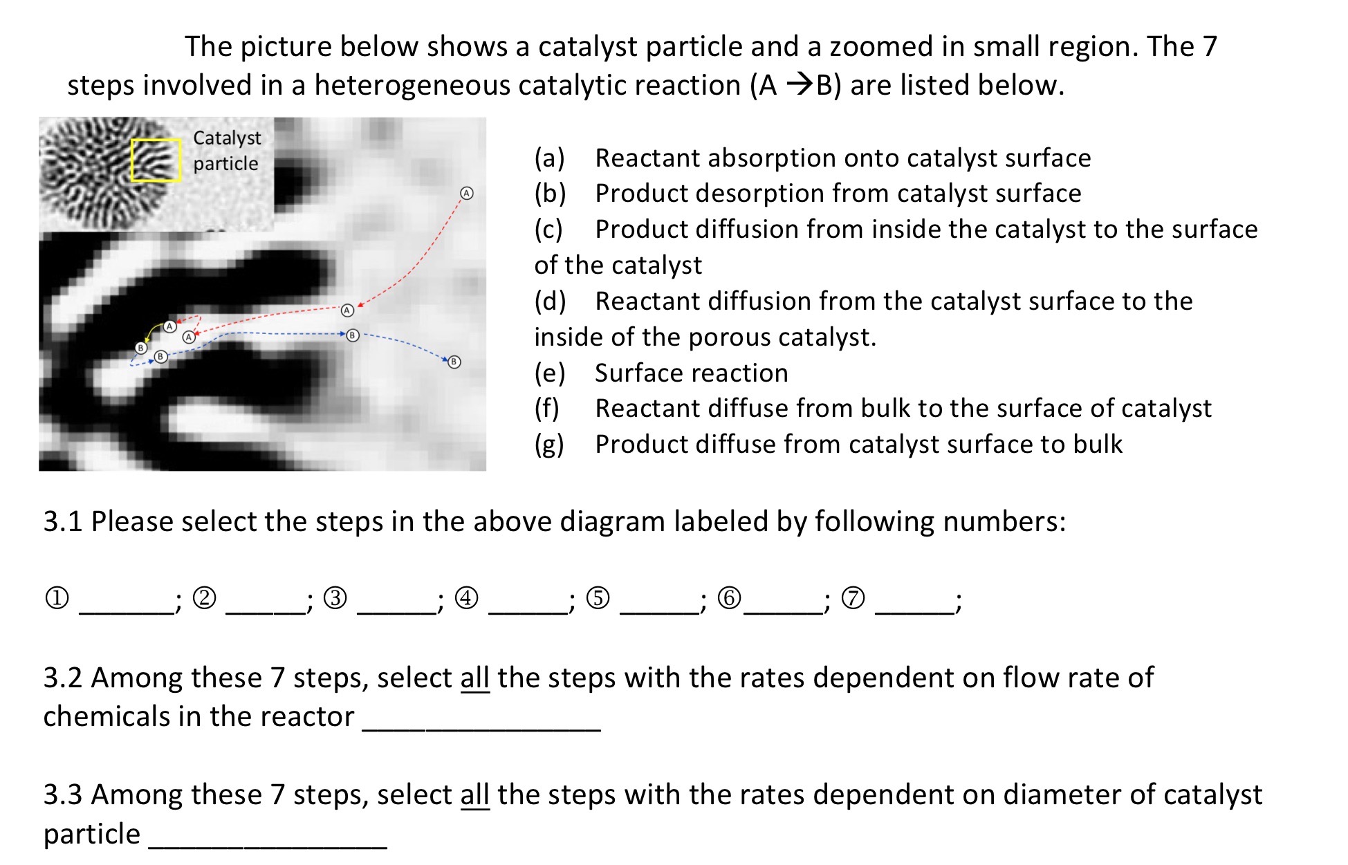Solved The picture below shows a catalyst particle and a | Chegg.com