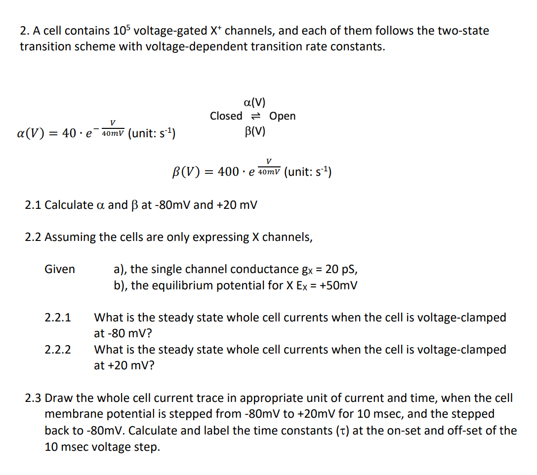 2. A cell contains 105 voltage-gated X+channels, and | Chegg.com