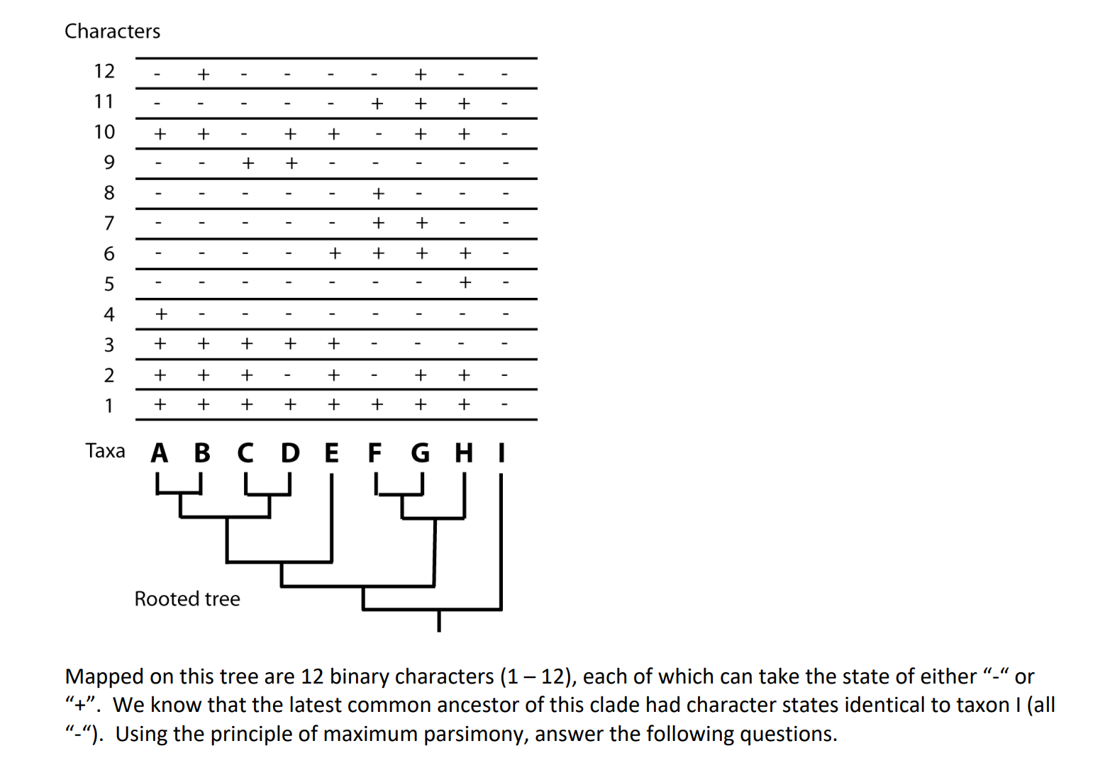 Solved rhamonone Mapped on this tree are 12 binary | Chegg.com
