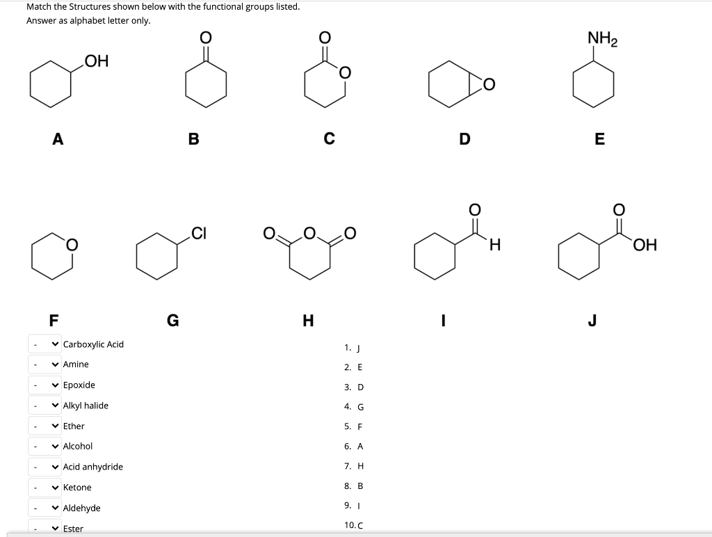 Solved Match the Structures shown below with the functional | Chegg.com