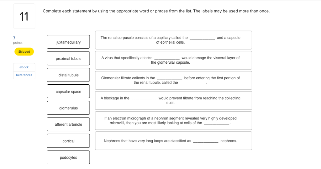 Solved Complete each statement by using the appropriate word | Chegg.com