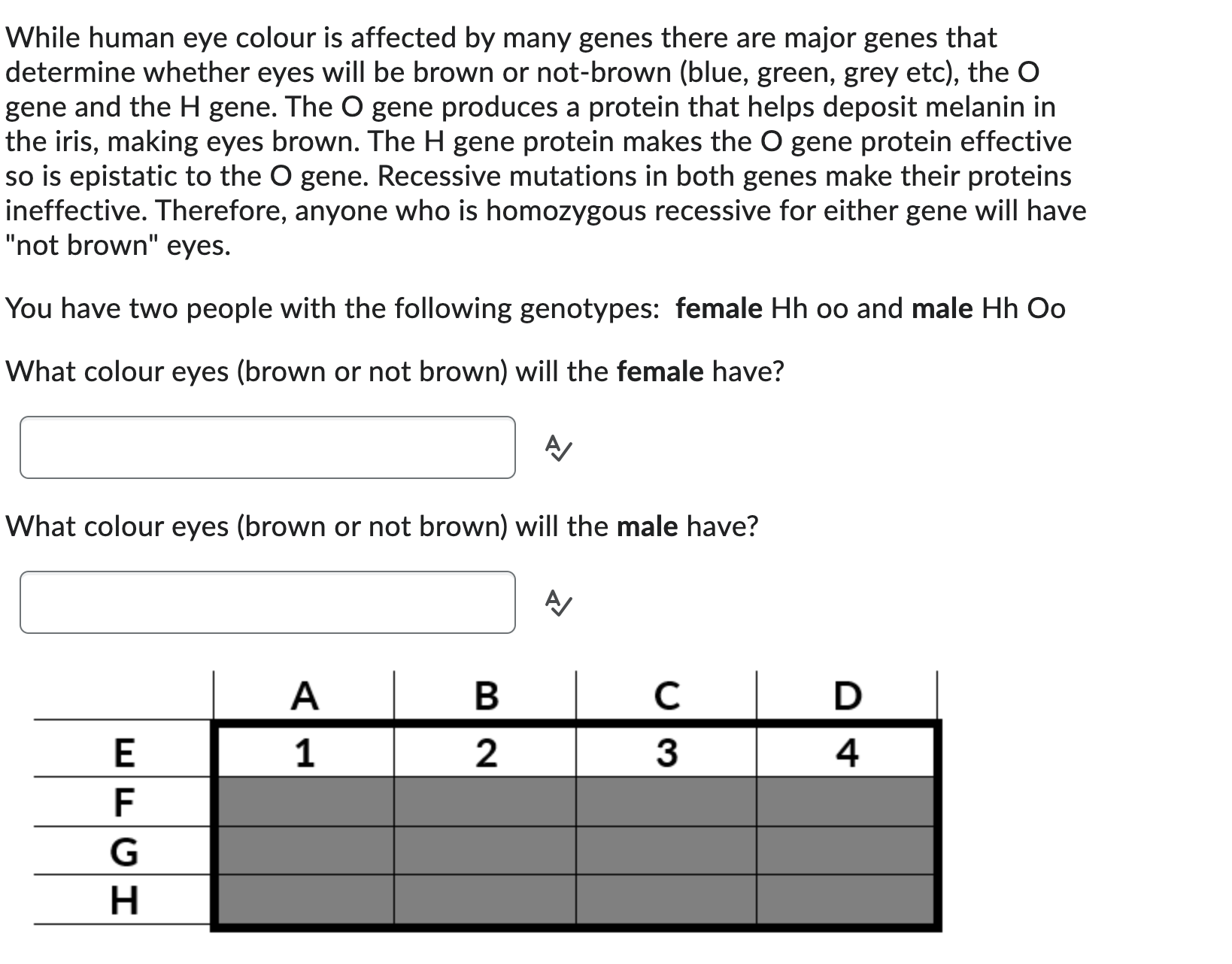 Solved While human eye colour is affected by many genes | Chegg.com
