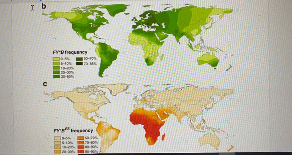 Lab 7: Biology and Race I f 20°N.-- equator 20°S. | Chegg.com