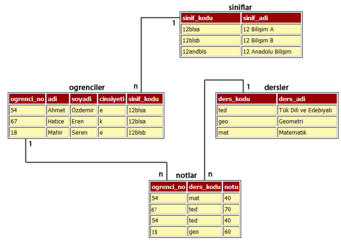 Solved Database Mysql Commands I Updated The Database 6844
