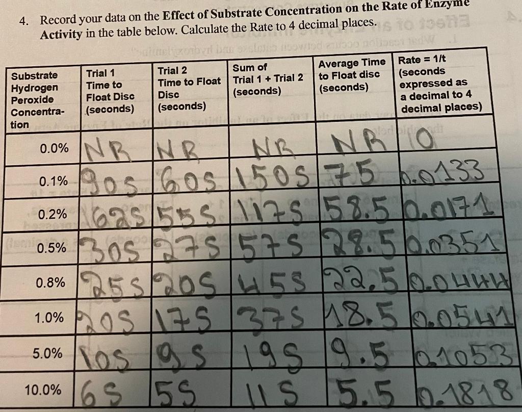 Solved 5. Graph the Effect of Substrate Concentration on the | Chegg.com