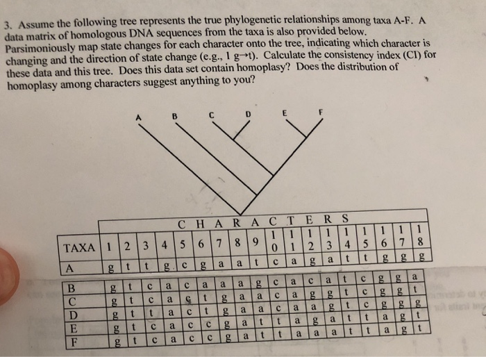 Solved 3. Assume the following tree represents the true | Chegg.com