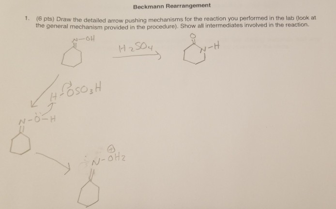 Solved Beckmann Rearrangement 1. (6 pts) Draw the detailed | Chegg.com