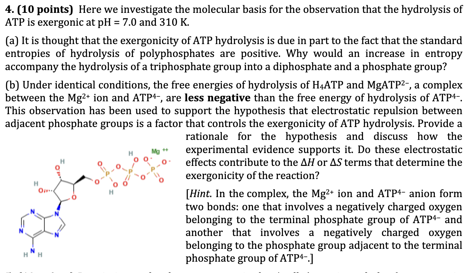 Solved 4. (10 points) Here we investigate the molecular | Chegg.com
