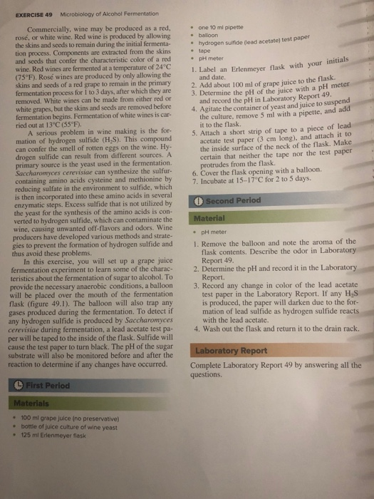 Solved BIOL 243: Lab 49 Review Questions Rebecca Bieri LAB | Chegg.com