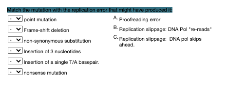 Solved Match the mutation with the replication error that | Chegg.com