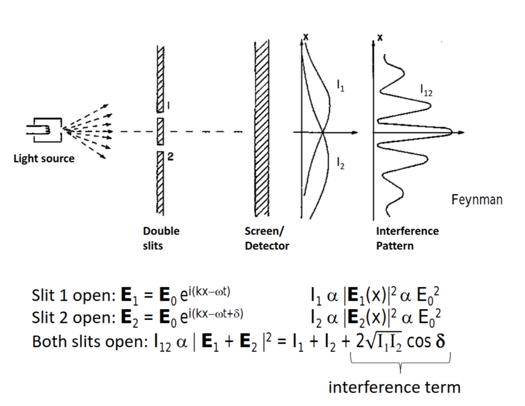 Solved iii -- TTT Light source Feynman Double slits Screen/ | Chegg.com