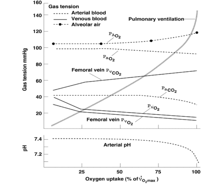 The partial pressure of oxygen (PaO2) is the | Chegg.com