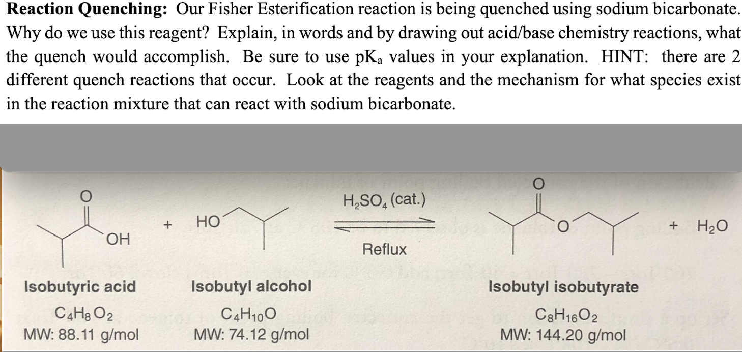 Solved Reaction Quenching: Our Fisher Esterification | Chegg.com