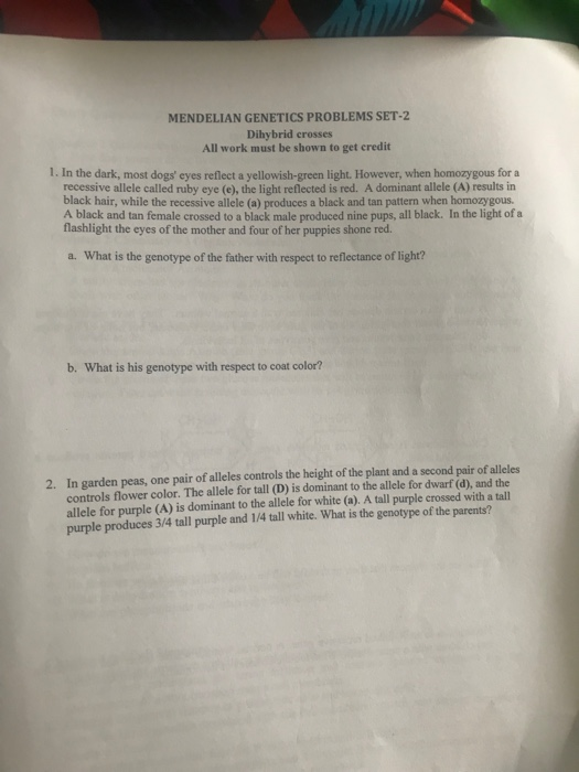 Solved MENDELIAN GENETICS PROBLEMS SET-2 Dihybrid crosses | Chegg.com