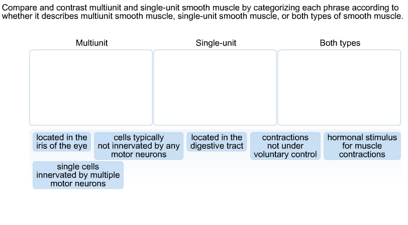 Solved Compare and contrast multiunit and single-unit smooth | Chegg.com
