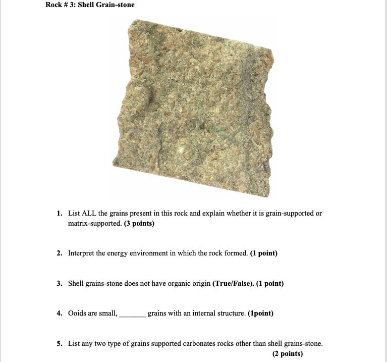Solved Rock # 3: Shell Grain-stone 1. List ALL the grains | Chegg.com
