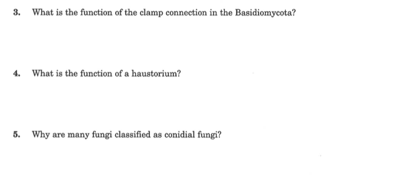 Solved 3. What is the function of the clamp connection in | Chegg.com