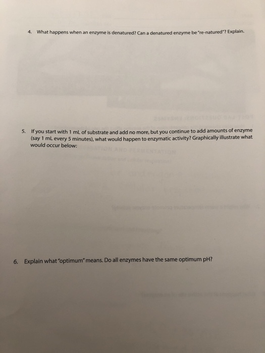 Solved POST-LAB: LABORATORY POST-LAB QUESTIONS: ENZYMES 1. | Chegg.com
