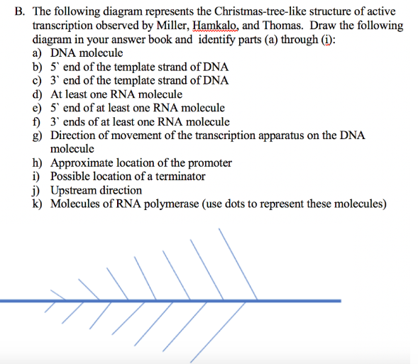 Solved B. The following diagram represents the | Chegg.com