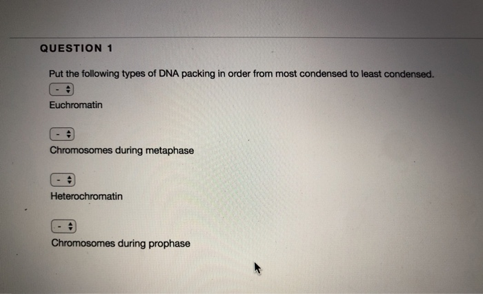 Solved QUESTION 1 Put the following types of DNA packing in | Chegg.com