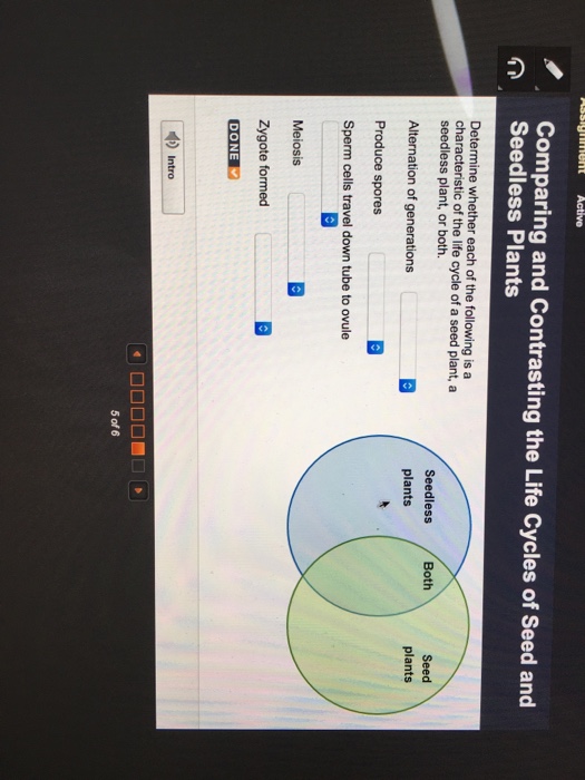 Solved Comparing and Contrasting the Life Cycles of Seed and | Chegg.com