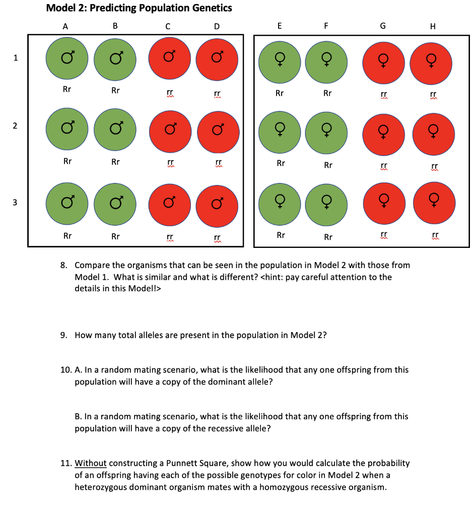 Model 2: Predicting Population Genetics 8. Compare | Chegg.com