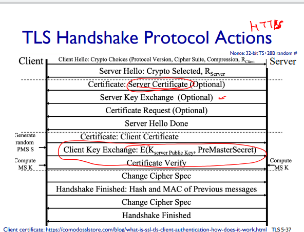 1.Explain each step in this diagram 2.what is the | Chegg.com