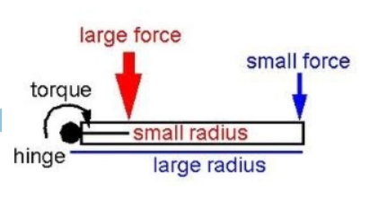 Solved Activity : Measurement of Torque - Door Experiment | Chegg.com
