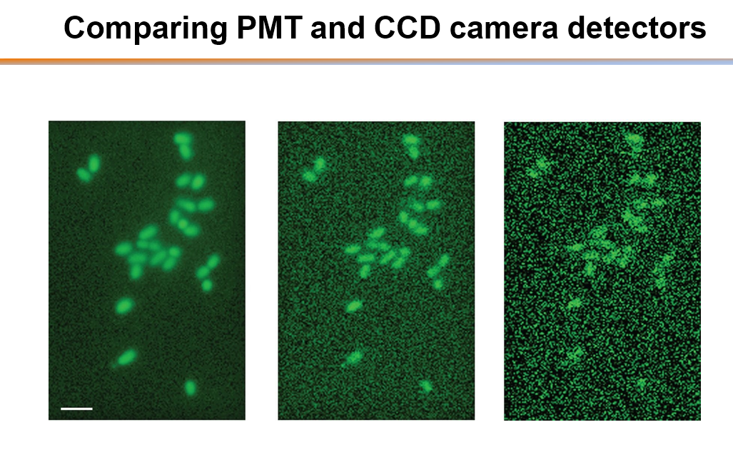 Solved Comparing PMT and CCD camera detectors | Chegg.com