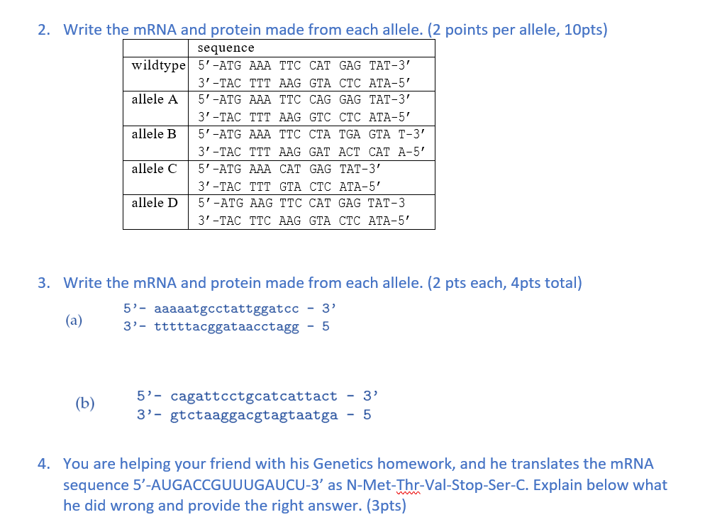 Solved 2. Write the mRNA and protein made from each allele. | Chegg.com