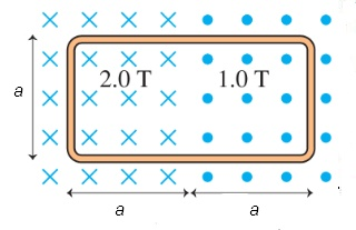 Solved What is the magnetic flux through the loop shown in | Chegg.com