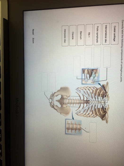 Solved Correctly label the following components of | Chegg.com