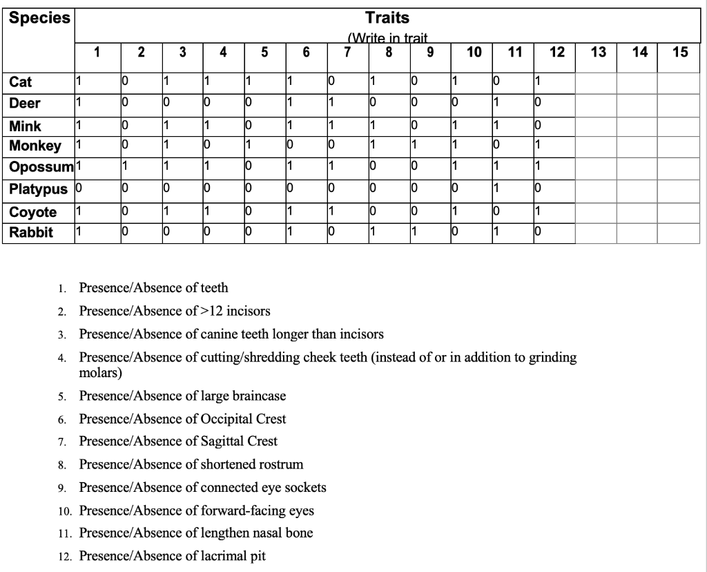 Create a Phylogenetic tree with traits plot on the | Chegg.com