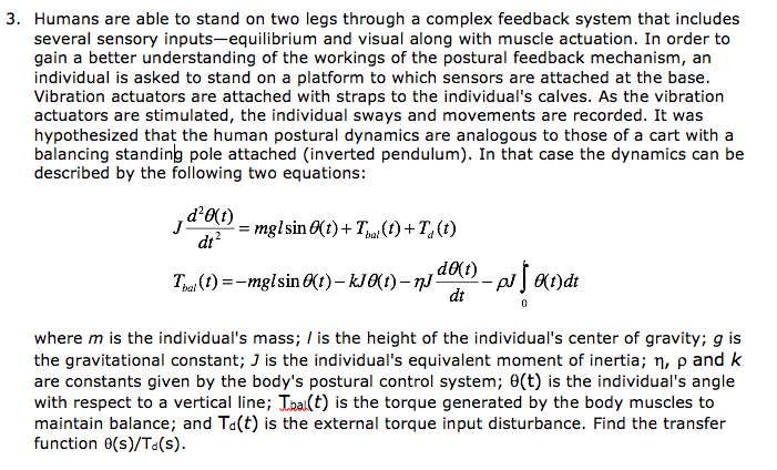 Solved 3. Humans are able to stand on two legs through a | Chegg.com