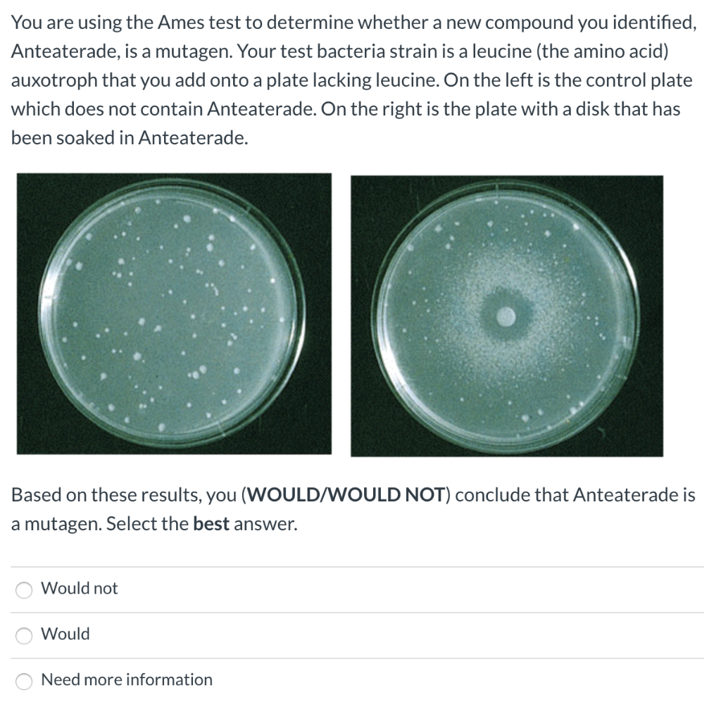 Solved You are using the Ames test to determine whether a | Chegg.com