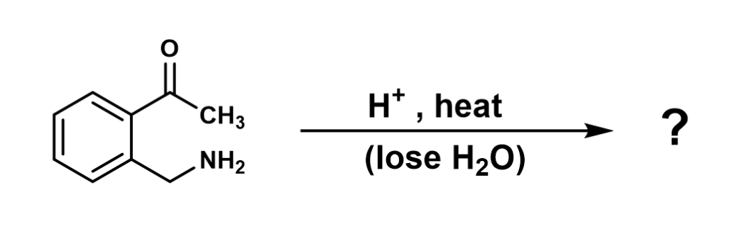 Solved Simple aminoacetals hydrolyze quickly and easily in | Chegg.com
