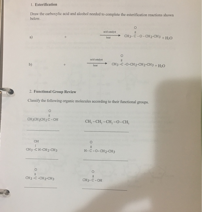 Solved Ethanol 2-propanol 2-methyl-2-propanol CH3 CH3 - | Chegg.com