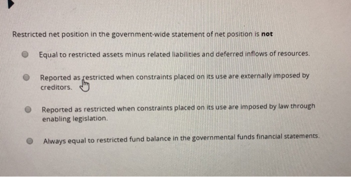 Solved Restricted net position in the government-wide | Chegg.com