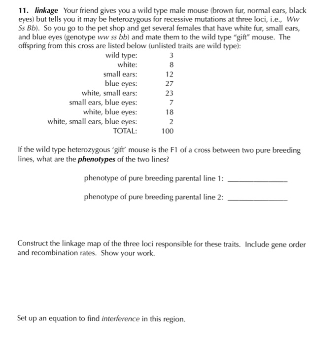 Solved 11. linkage Your friend gives you a wild type male | Chegg.com