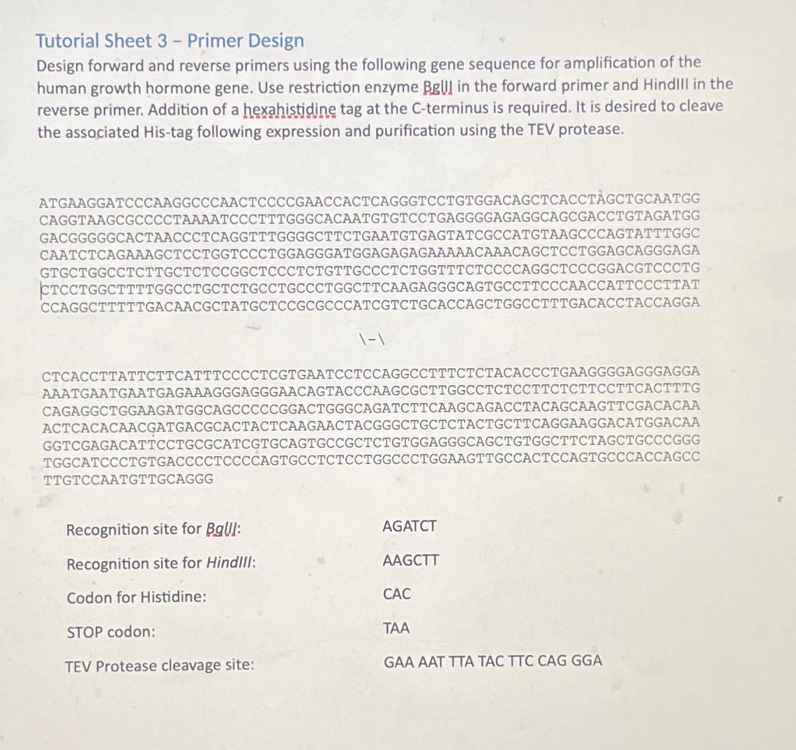 Solved Design forward and reverse primers using the | Chegg.com