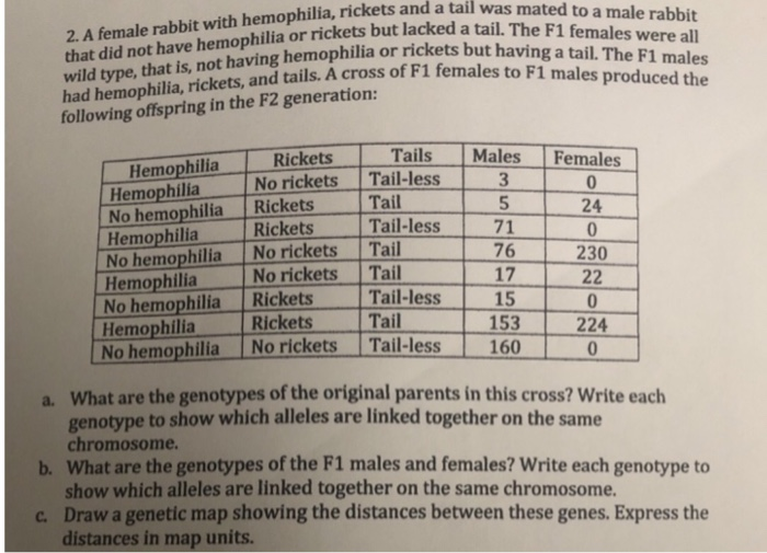 Solved 2. A female rabbit with hemophilia, rickets and a | Chegg.com