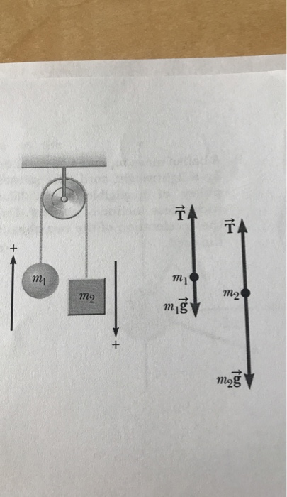Solved When two objects of unequal mass are hung vertically | Chegg.com Solved When two objects of unequal mass are hung vertically | Chegg.com