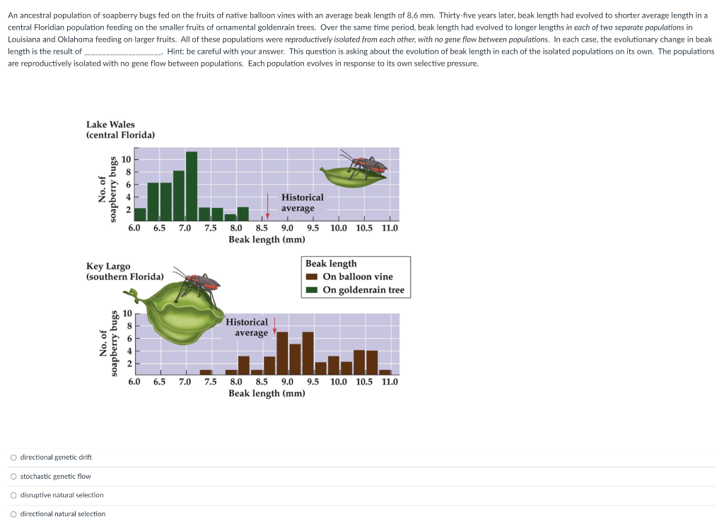 Solved An ancestral population of soapberry bugs fed on the | Chegg.com