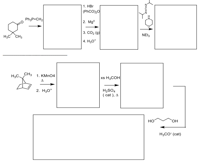 Solved 1. HBr (PHCO)20 Ph3P CH2 2. Mg 3. CO2 (g) NEts Hас | Chegg.com